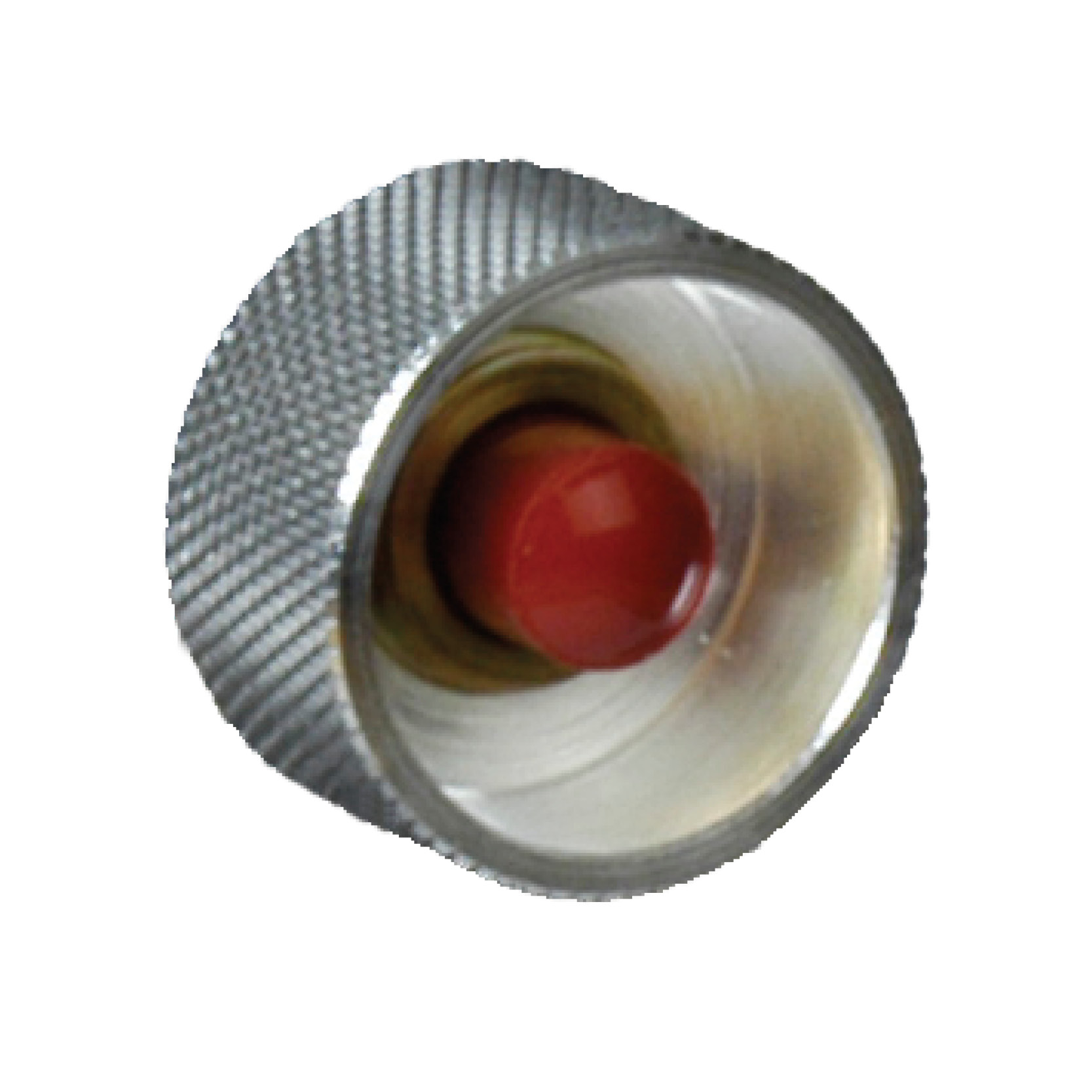 10C Guard Ring | Alarm Controls